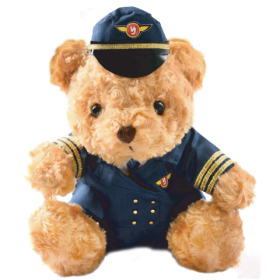 Teddy bear uniform PILOT